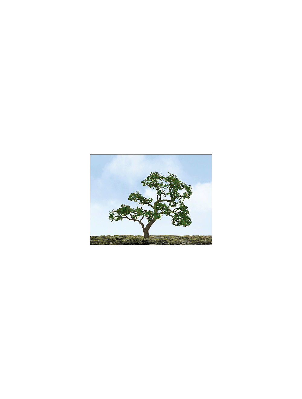 jtt scenery 94431 beech tree 3" 2pk