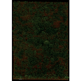 busch 1309 heathland grass