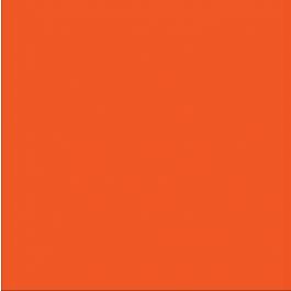 Tru-Color 313 SAFETY ORANGE