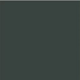 Tru-Color 809 dark green brushable